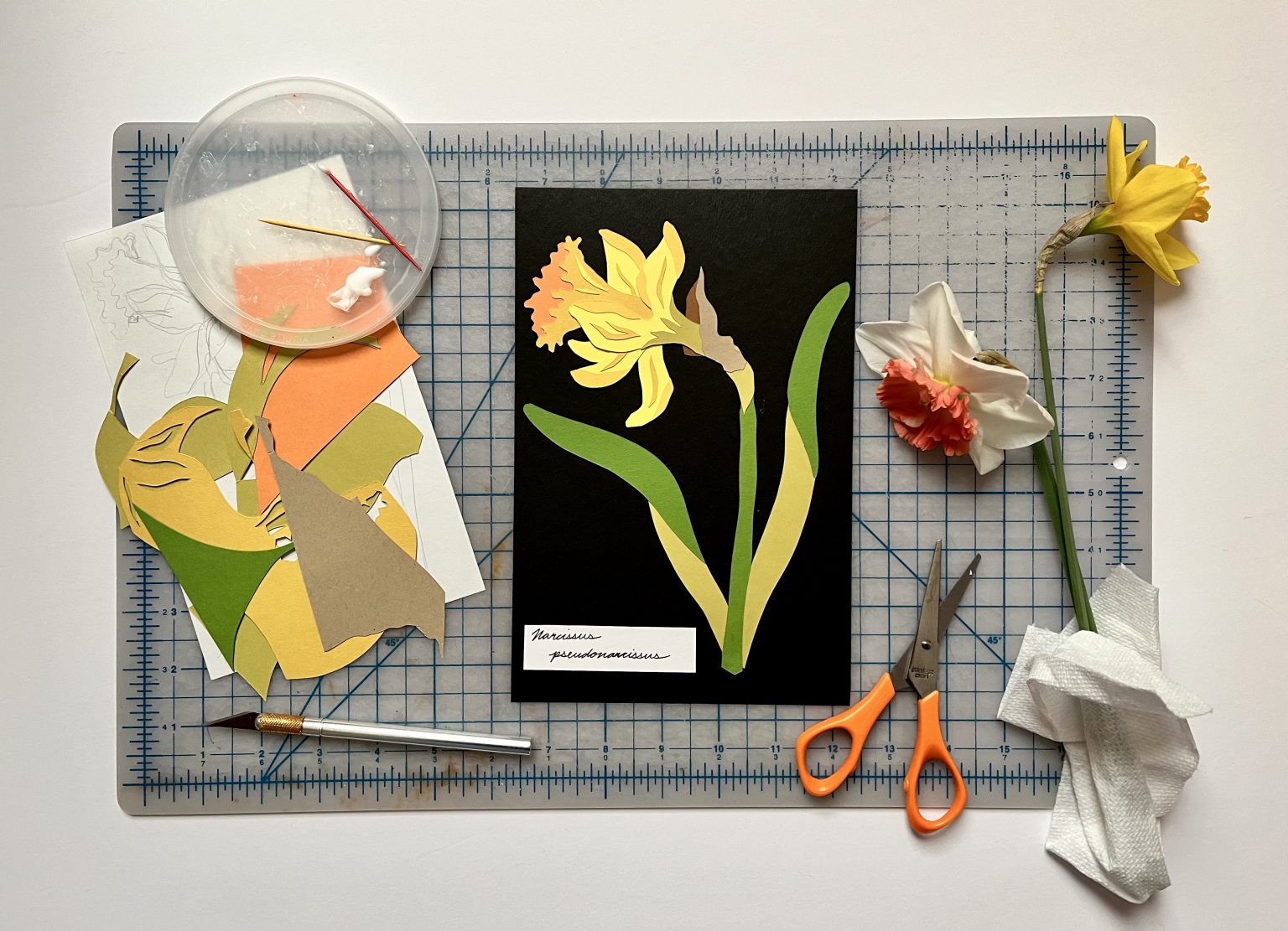 SOLD OUT - Botanical Collage - Waterfront Botanical Gardens