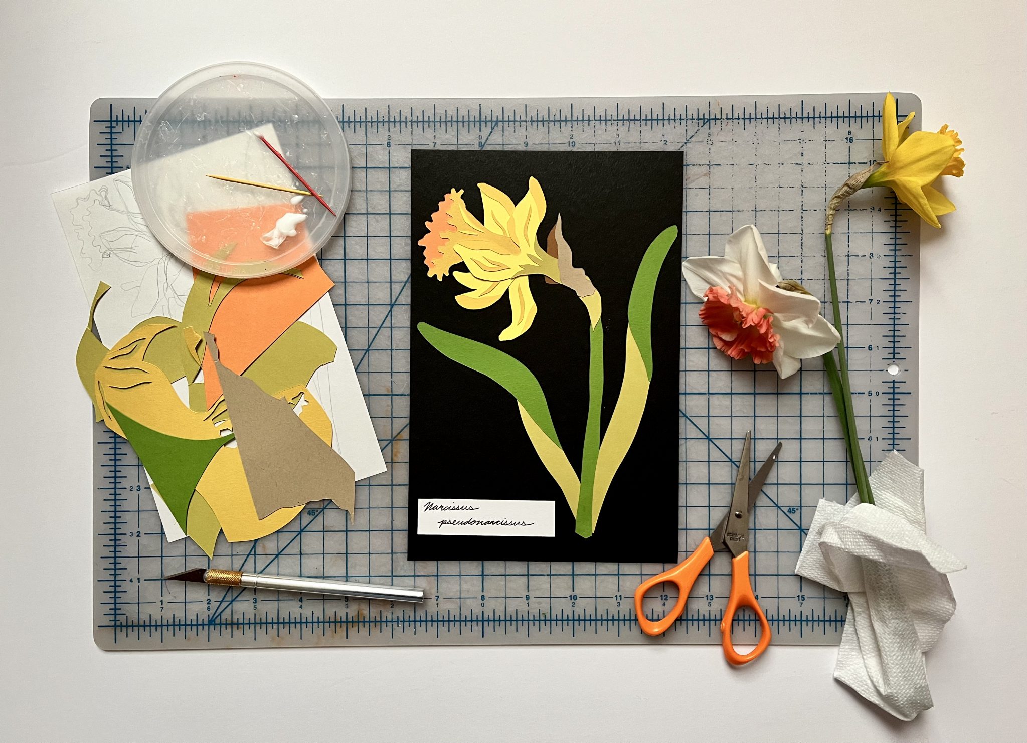 SOLD OUT - Botanical Collage - Waterfront Botanical Gardens